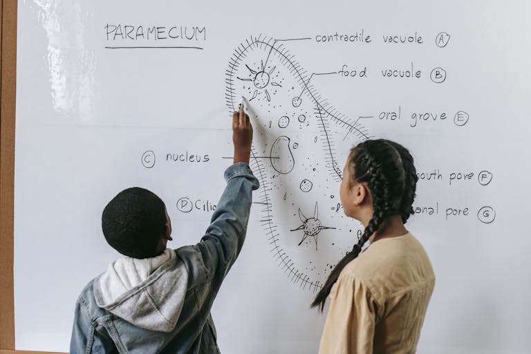 PSLE Science Revision Notes: Your Ultimate Guide to Success